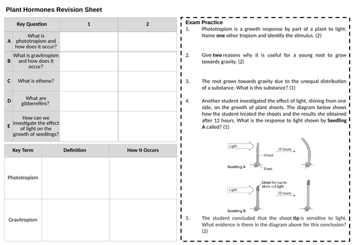 AQA GCSE Plant Hormones Revision Session | Teaching Resources