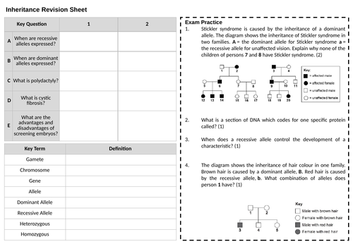 AQA GCSE Inheritance Revision Session | Teaching Resources