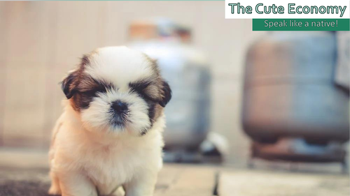 Ready-Made 20+ Lesson ESL Speaking and Discussion Course | Teaching ...