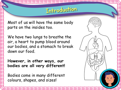 All About Bodies - KS1 | Teaching Resources