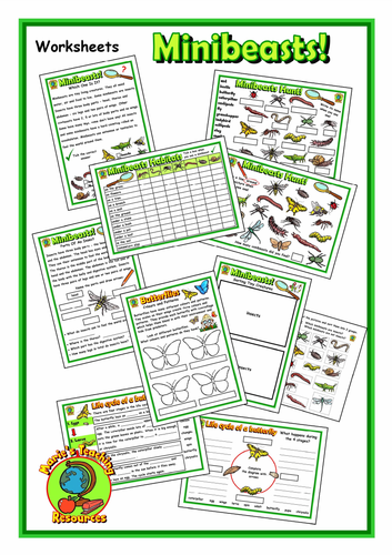 Minibeasts Worksheets | Teaching Resources