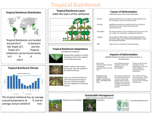 Tropical Rainforest Revision - AQA GCSE | Teaching Resources