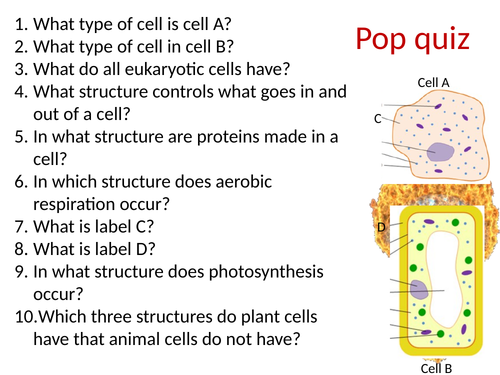 BTEC Applied Science Unit 1 Biology B1 and B2 Cell Structure, Function ...