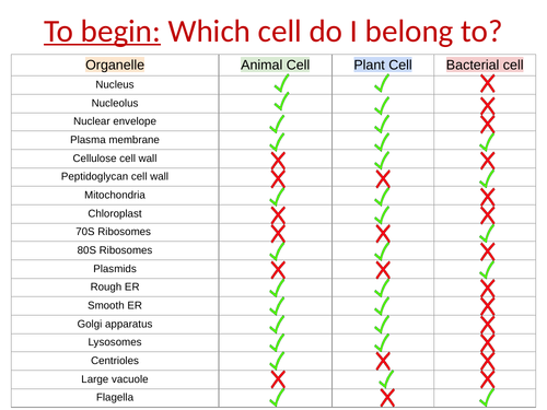 BTEC Applied Science Unit 1 Biology B1 and B2 Cell Structure, Function ...