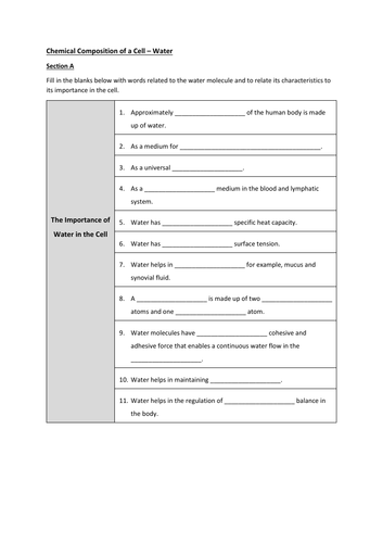 Chemical Composition in a Cell - Water & Various Carbohydrates ...