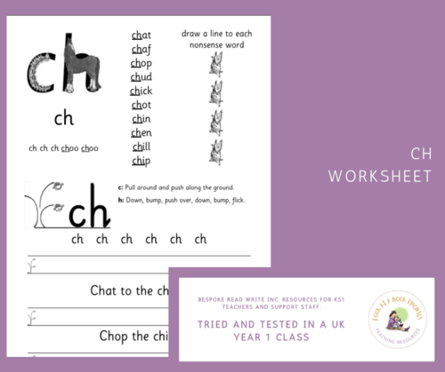 RWI Set 1 Special Friends Worksheet Pack | Teaching Resources