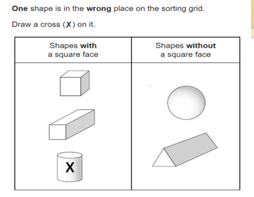 Y2 SATS Reasoning about Shape Practice | Teaching Resources
