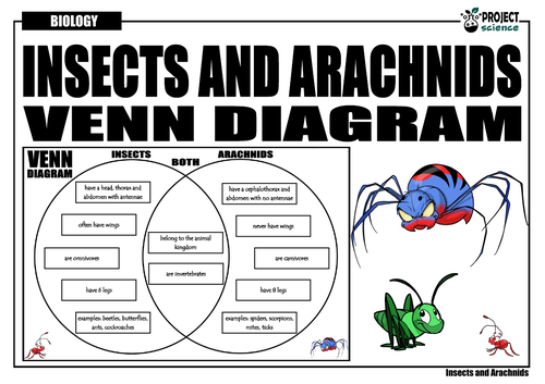 Insects and Arachnids Venn Diagram | Teaching Resources
