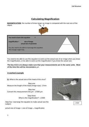 AQA GCSE Microscopes | Teaching Resources AQA GCSE Microscopes | Teaching Resources