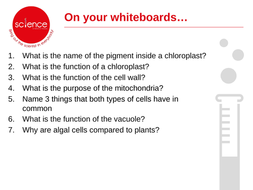 AQA GCSE Microscopes | Teaching Resources AQA GCSE Microscopes | Teaching Resources