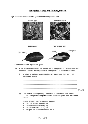 Photosynthesis | Teaching Resources