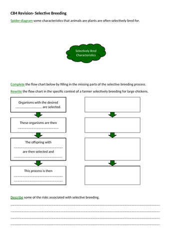 Edexcel CB4 Selective Breeding Revision | Teaching Resources Edexcel CB4 Selective Breeding Revision | Teaching Resources