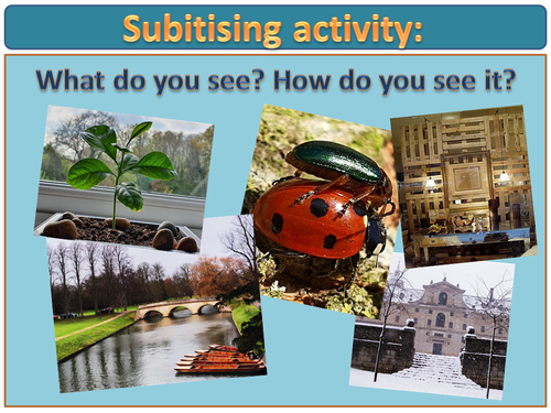 Subitising Maths activity: Subitising pictures; What do you see? How do ...