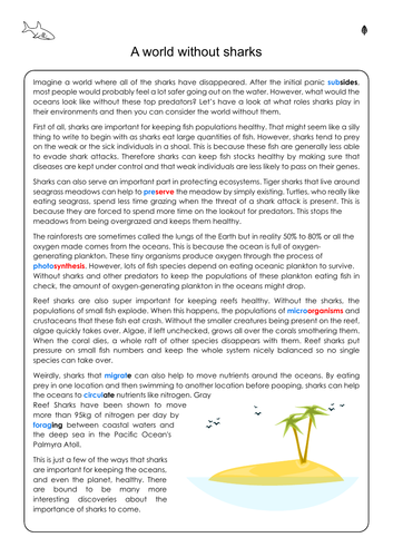 5x Shark Theme Reading Comprehension Worksheet | Teaching Resources