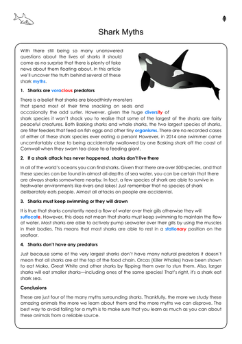 5x Shark Theme Reading Comprehension Worksheet | Teaching Resources