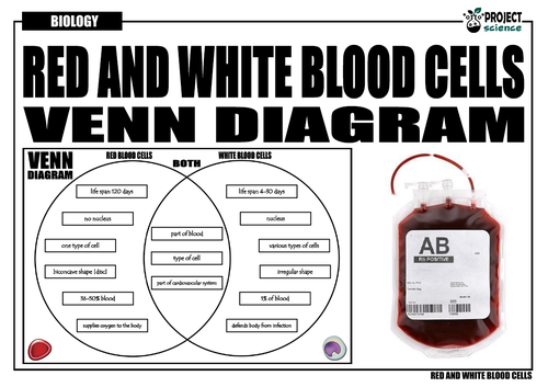 Red and White Blood Cells Venn Diagram | Teaching Resources