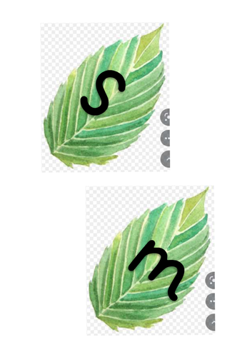 Natural Letters on Leaves EYFS Areas | Teaching Resources