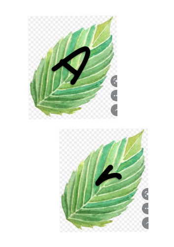 Natural Letters on Leaves EYFS Areas | Teaching Resources