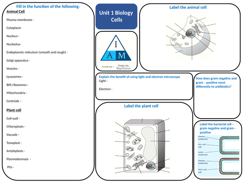 BTEC Science Unit 1 Biology revision mats | Teaching Resources