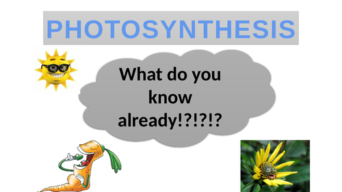 Photosynthesis | Teaching Resources