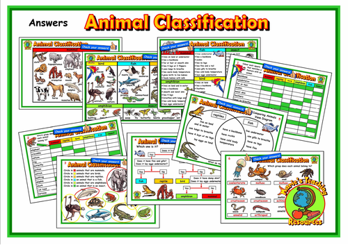 Animal Classification Activity + Worksheets | Teaching Resources