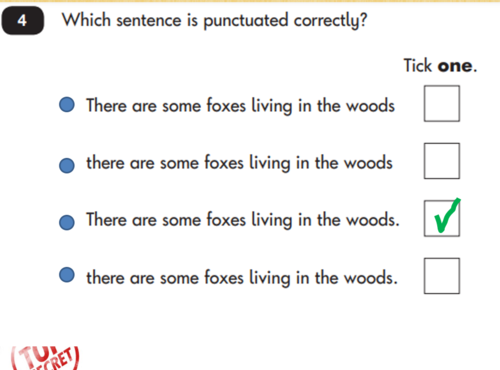 Y2 SATS SPaG Practice Quiz | Teaching Resources