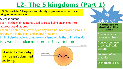 IGCSE Biology- Characteristics and Classification (2023 Cambridge ...