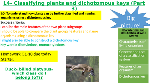 IGCSE Biology- Characteristics and Classification (2023 Cambridge ...