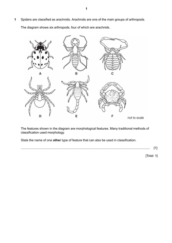 IGCSE Biology- Characteristics and Classification (2023 Cambridge ...