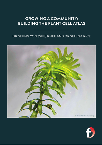 How can a Plant Cell Atlas help us tackle global environmental ...