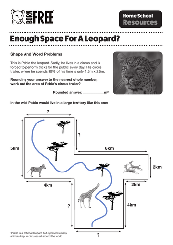 Should We Keep Wild Animals In Captivity? | Teaching Resources