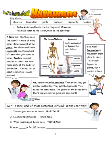 Biology! The Human Body, Movement and Locomotion | Teaching Resources