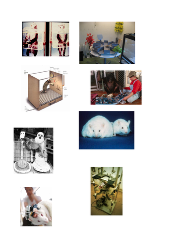 Animal Research lesson (Edexcel A Level Psychology) | Teaching Resources