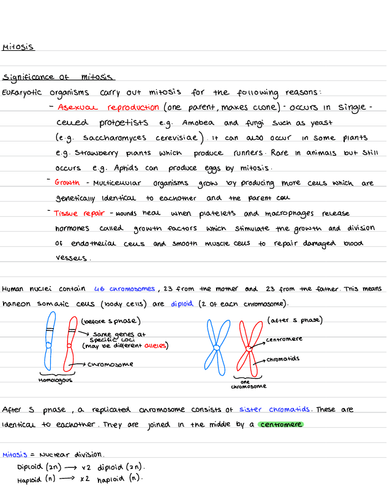 A-Level Biology OCR A cell division full notes | Teaching Resources