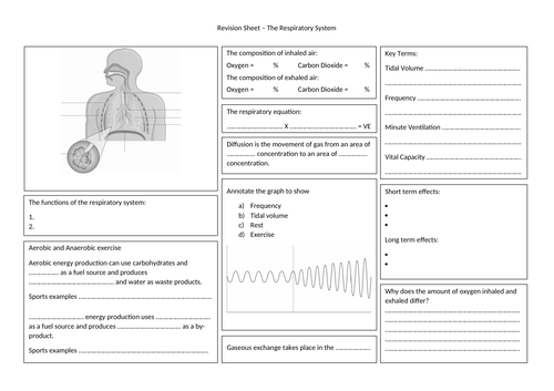 Revision Sheet - The Respiratory System | Teaching Resources