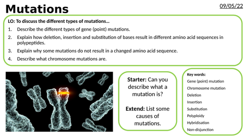AS/A2-Level AQA Biology - Topic 4: Genetic Information, Variation ...