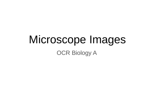 OCR A Level Biology Microscope Images Labelled | Teaching Resources