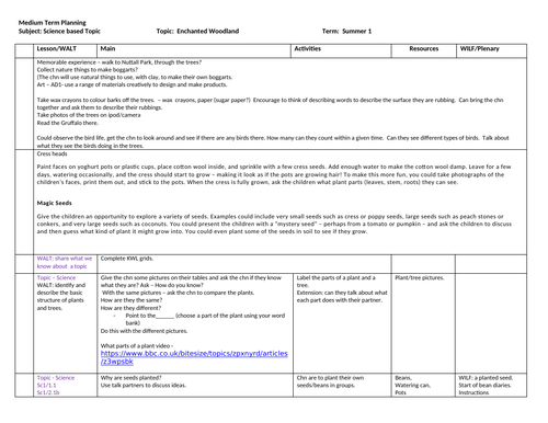 Enchanted Woodland Topic Planning MTP | Teaching Resources