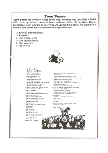 'Skellig' (David Almond) & Poetry Scheme of Work | Teaching Resources