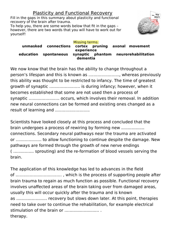 Plasticity and Functional Recovery of The Brain | Teaching Resources