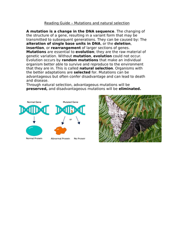 Natural Selection & Mutations (WJEC - 4.4 Variation & Evolution ...