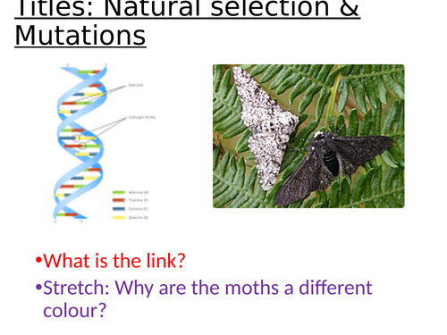 Natural Selection & Mutations (WJEC - 4.4 Variation & Evolution ...