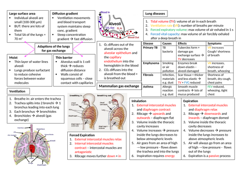 AQA A-Level Biology Resource Pack (By Topic) | Teaching Resources