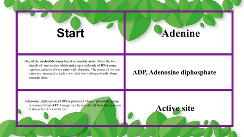 Key word Domino game Biology A Level Edexcel Revision | Teaching Resources