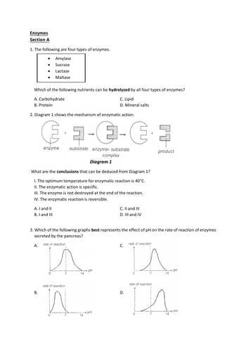 Enzyme Worksheets and Experiment Set (Questions and Answers) | Teaching ...