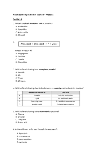 Biology : Chemical Composition in a Cell - Proteins and Nucleic Acids ...