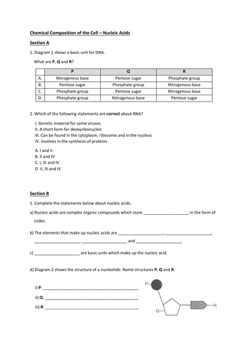 Biology : Chemical Composition in a Cell - Proteins and Nucleic Acids ...