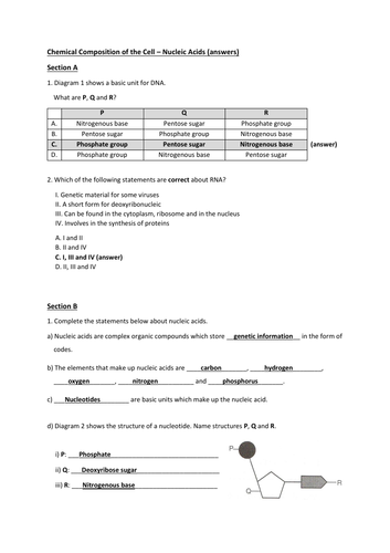 Biology : Chemical Composition in a Cell - Proteins and Nucleic Acids ...