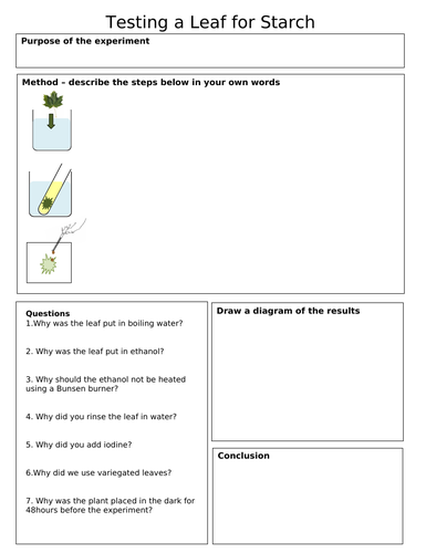 Testing a Leaf for Starch | Teaching Resources