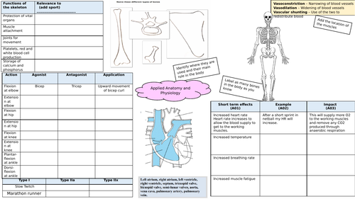 Edexcel GCSE PE topic on a page (component 1&2) | Teaching Resources